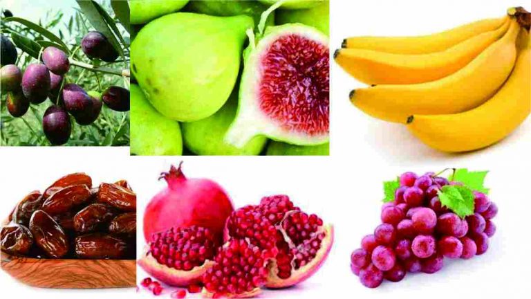 Mengenal Buah Khuldi Penyebab Nabi Adam dan Siti Hawa Ke Bumi